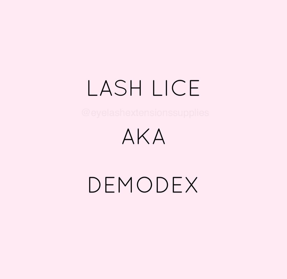 Demodex AKA Lash Lice – iLevel Lab