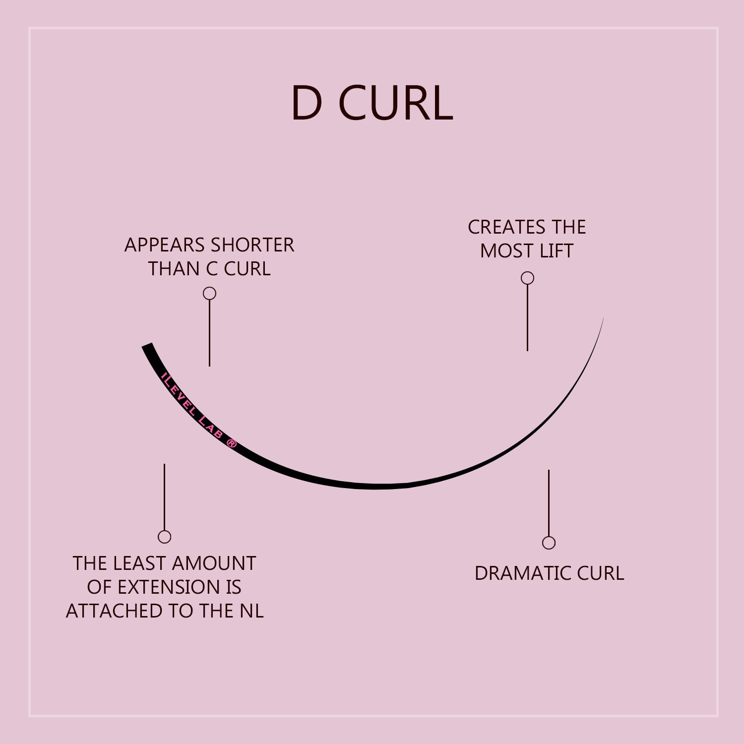 What is D curl – iLevel Lab
