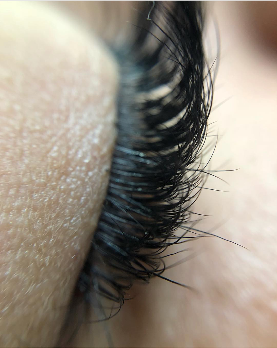 How to Lash Clients with Blonde Lashes? – iLevel Lab